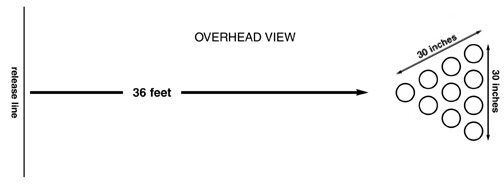 33 Bowling Pin Set Up Diagram Wire Diagram Source Information